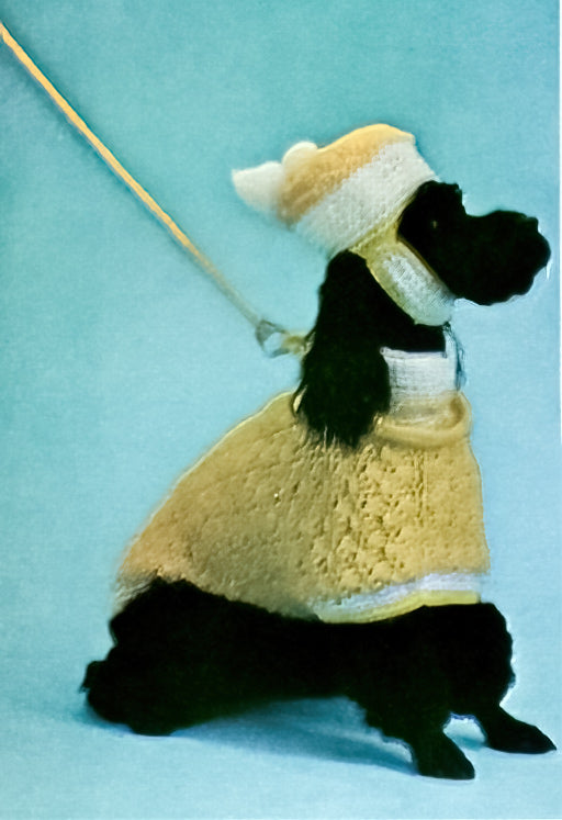 Modèle de jeu de chien – Mary Maxim