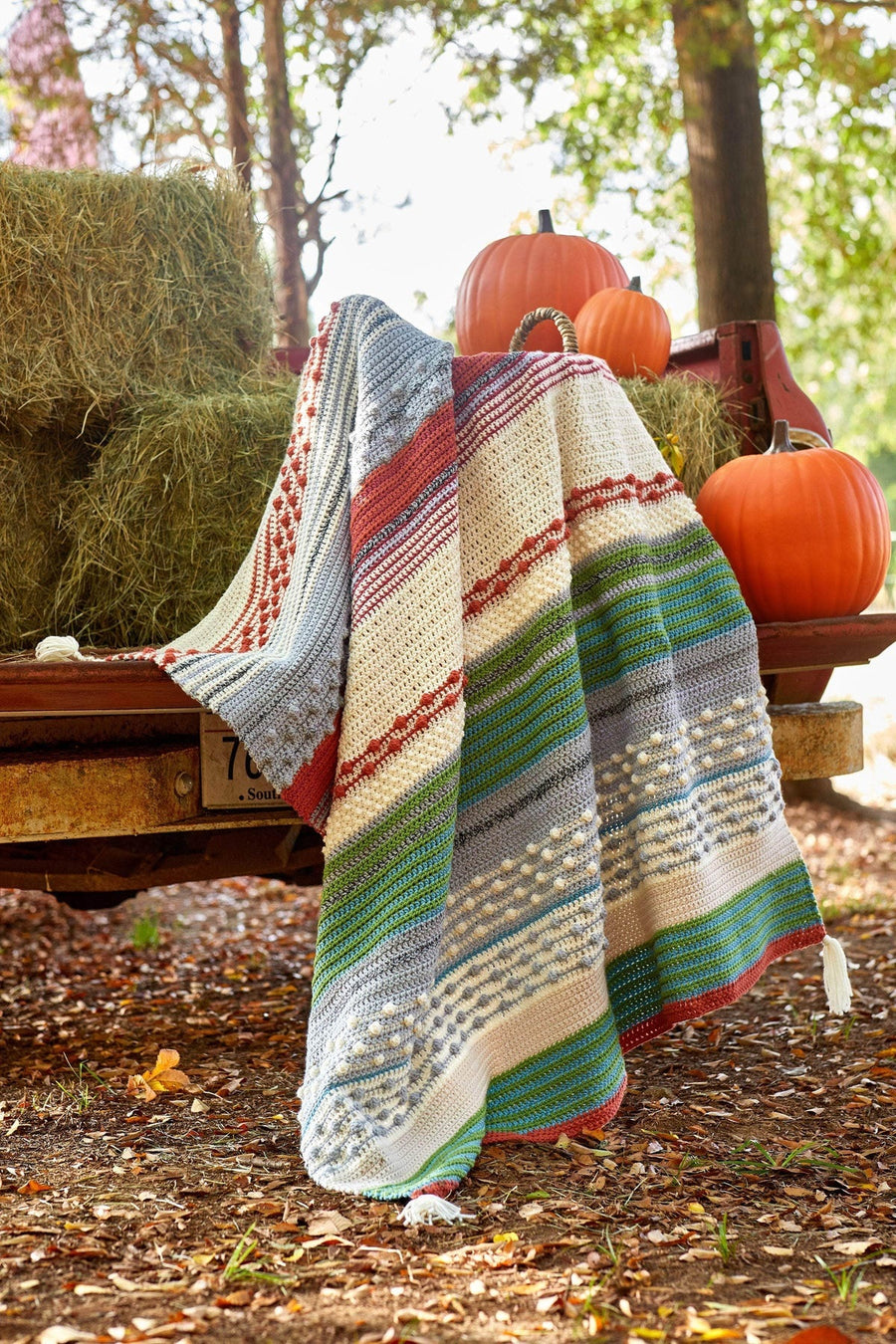 Free Afghan Patterns for Knitting & Crochet | Mary Maxim