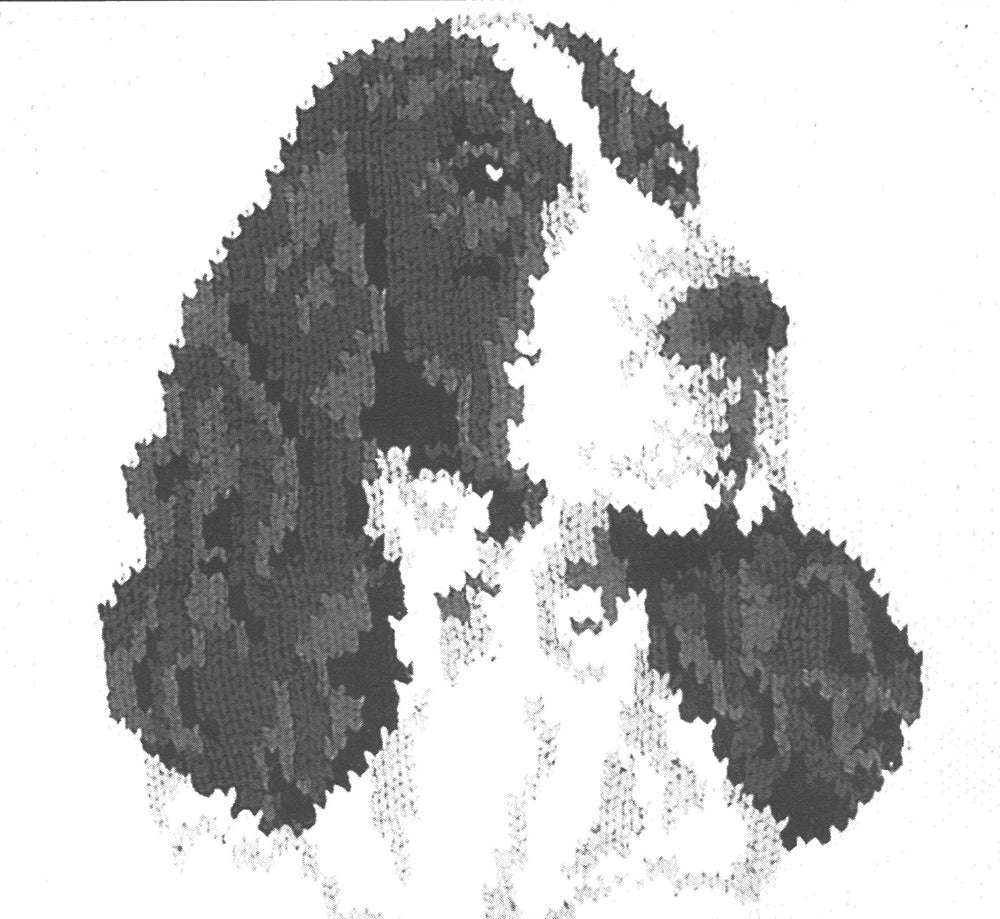 Springer Spaniel Jacket Pattern – Mary Maxim