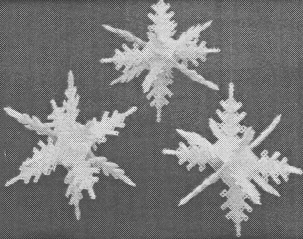 Plastic Canvas Snowflake Pattern – Mary Maxim