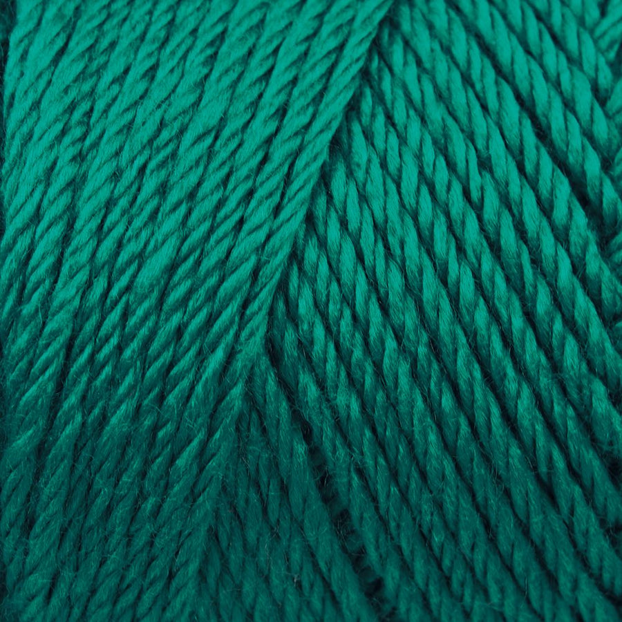 Caron Simply Soft Yarn – Mary Maxim